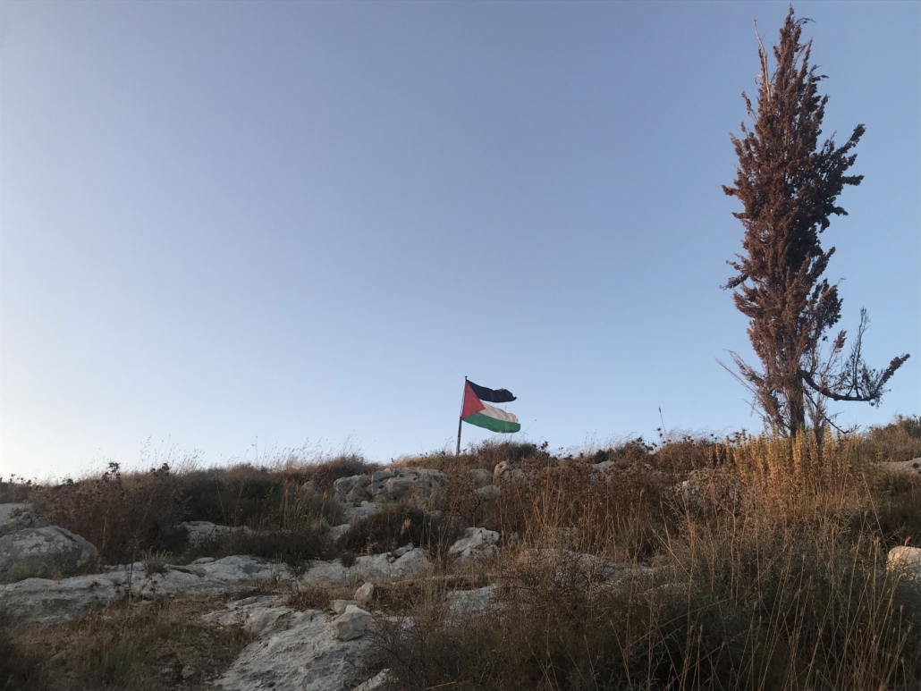 Wadi Al-Sha’ir & Jabal Nablus - NJubeil